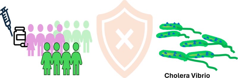 The International Society for Vaccines